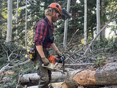 Forest Fire Safety Tips Protect Your Utah Property Canyon Cutters