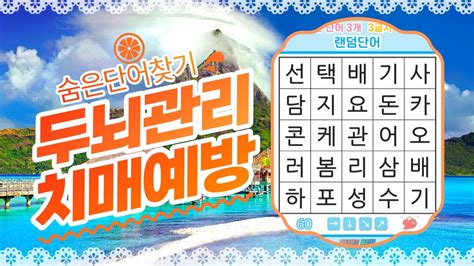 10개 단어는 찾으셔야 합니다 숨은단어찾기 치매예방 퀴즈 초성퀴즈 단어퀴즈 두뇌운동 뇌건강 치매테스트 기억력 집중력 강화 재밌는 퀴즈 Youtube