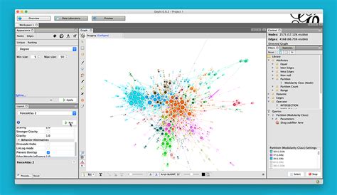 Layout And Export Gephi Manual