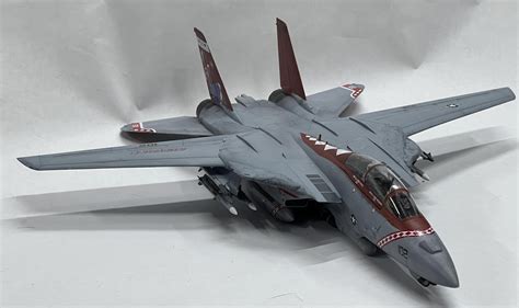 Custom Super Tomcat 21 Project Rmodelmakers