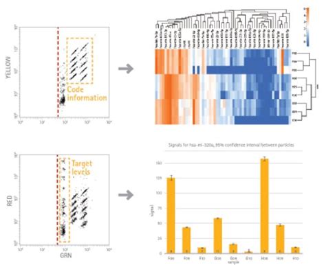 Micro RNA Profiling With A Multiplexed Assay American Laboratory