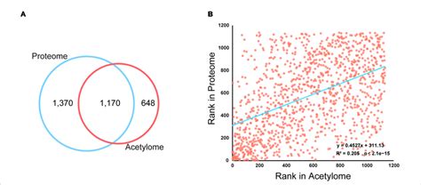 Comparison Of The Proteome And Acetylome Of Mouse Brain A Venn