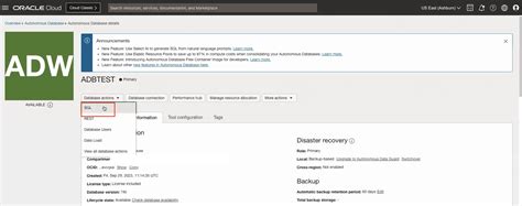 Integrate Oracle Autonomous Database With Microsoft Entra Id