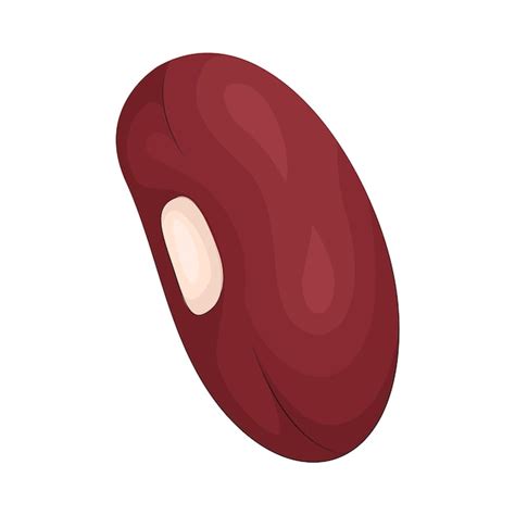 Premium Vector Illustration Of Red Bean