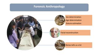 Introduction To Forensic Biology PPTX