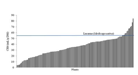 Methanogenic Potential Of Selected Australian Plants When Fermented By