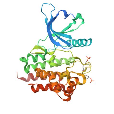 Rcsb Pdb 8bxc Crystal Structure Of Jak2 Jh1 In Complex With Itacitinib