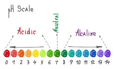 Simple Ph Scale