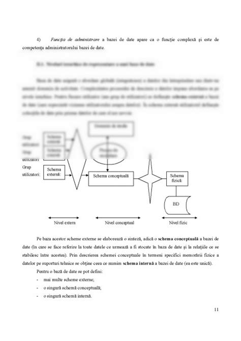Referat Sisteme Informatice De Gestiune 439205