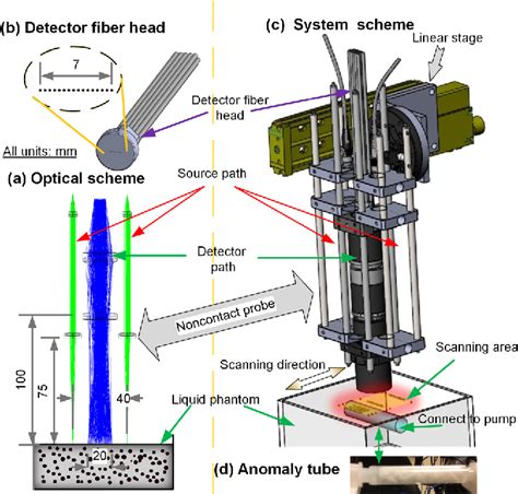 Figure 1 From Three Dimensional Flow Contrast Imaging Of Deep Tissue