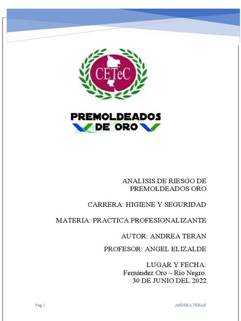 Pp2 Andrea Teran Corregido Final Pdf Tecnología