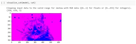 Visualizing Kernels And Feature Maps In Deep Learning Model Cnn With