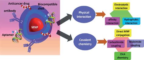 Different Strategies Used In The Bioconjugation Of Mnps Download Scientific Diagram
