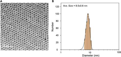 Cell Press Star Protocols