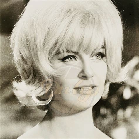 THE STRIPPER Joanne Woodward 8x10 B W 1 Photo 1963 Photo