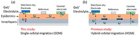 Comparison Of Charge Migration Over The Electrode And Skin Interface Download Scientific