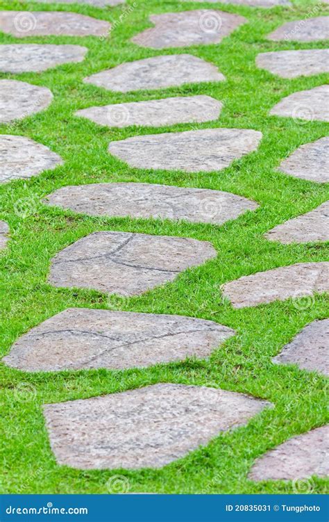 Stone Path On Green Grass Stock Image Image Of Color 20835031