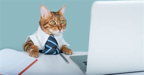 Disable Task View On Windows 10 Virtual Desktop Using Registry Gpo