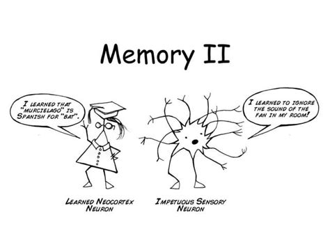 Pgi Memory Scalepsychology Pptx