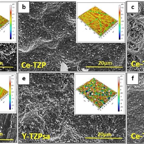 Sem Micrographs And 3d Reconstructed Interferometer Images Inserts Of Download Scientific