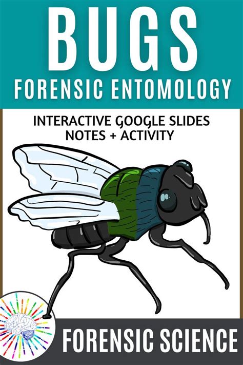 Free To Download Forensic Science Courses Lesson Plans Artofit