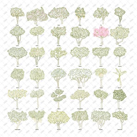 Shop Vector Trees And Plants At Post Digital Architecture Shop Vector Trees And Plants At Post Digital Architecture