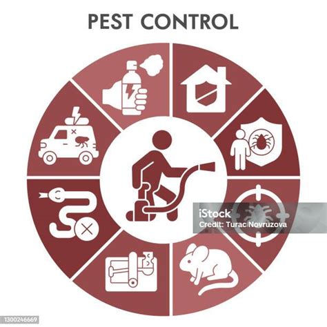 아이콘현대 해충 방제 인포그래픽 디자인 템플릿 흰색 배경에 안티 해충 인포 그래픽 프레젠테이션을 위한 곤충 제어 템플릿입니다 인포그래픽을 위한 크리에이티브 벡터