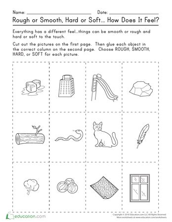 Shape Texture Size And Color Exploring Attributes Workbook