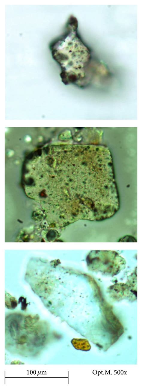 Wear Particles Images Demonstration Download Scientific Diagram