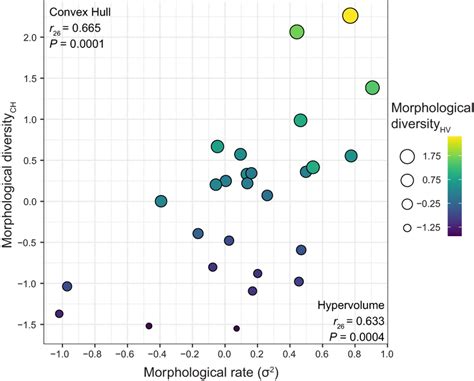 Morphological Diversity Versus Rate Of Evolution Diversity Is Download Scientific Diagram