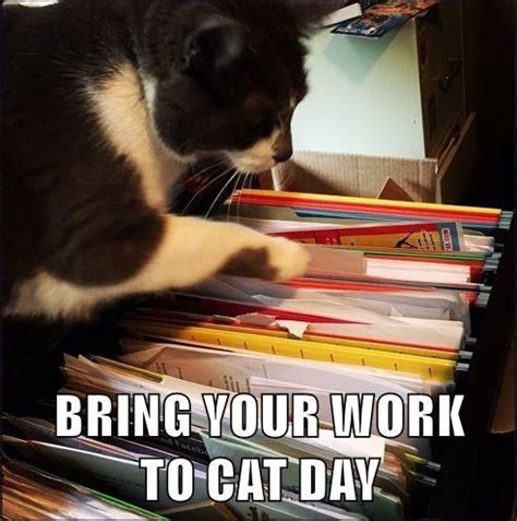 23 Working Cat Memes To Meow Your Monday Away I Can Has Cheezburger