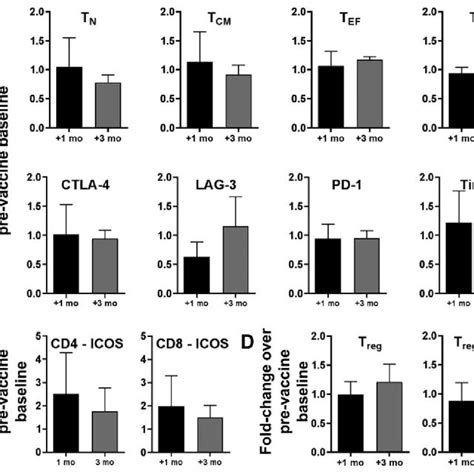 cd8 t cell subset analysis and treg content after lc vaccines pbmcs