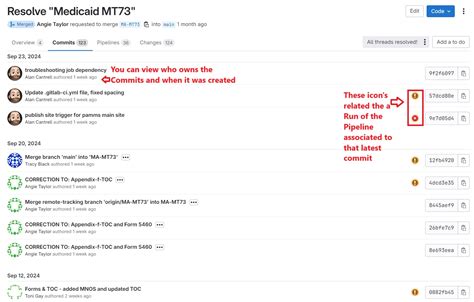 Reviewing Changes In A Merge Request PAMMS Migration Staging