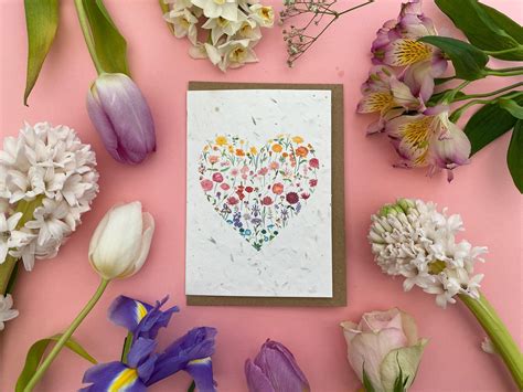 Any Occasion Sofia Papa Designs