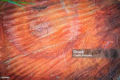 톱 질 흔적 컷된 로그에 나타나는 붉은 결 절 로그의 횡단면 톱 컷입니다 텍스처와 패턴의 배경에 대 한 나무 그 루터 기 표면 0명에 대한 스톡 사진 및 기타 이미지