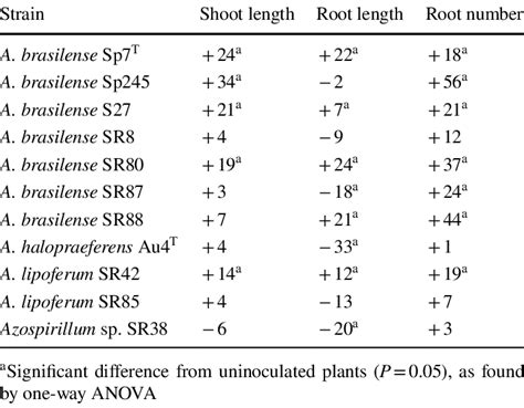 Effect Of Azospirillum Inoculation On Growth Of Potato Microplants Cv