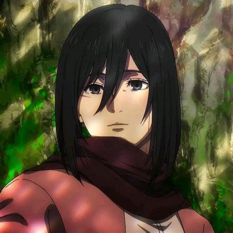 Mikasa Ackerman Attack On Titan Mikasa Anime Mikasa