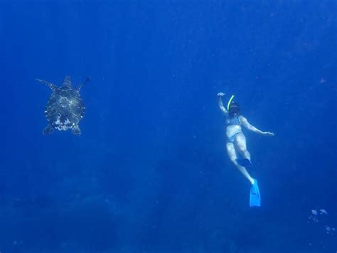 Banjar Nyuh Tour En Barco Con Paradas Para Bucear Con Manta Raya Getyourguide