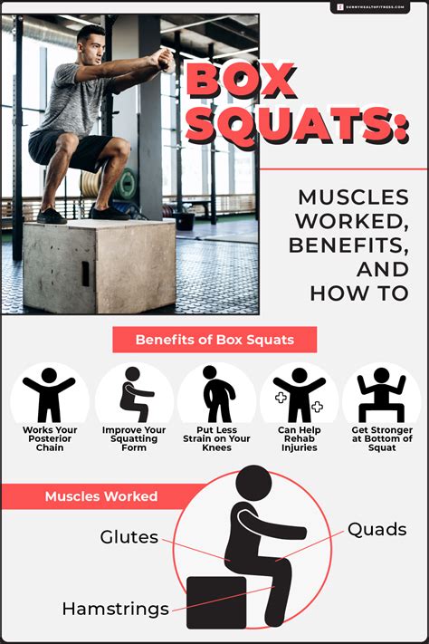 Box Jumps Muscles Worked