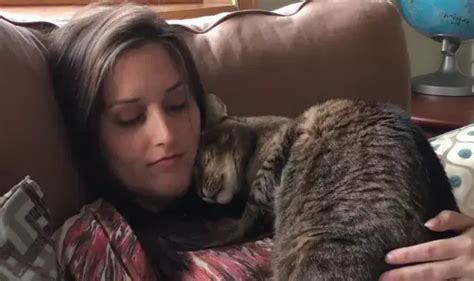 猫大圣不要因为怀孕就抛弃我 知乎