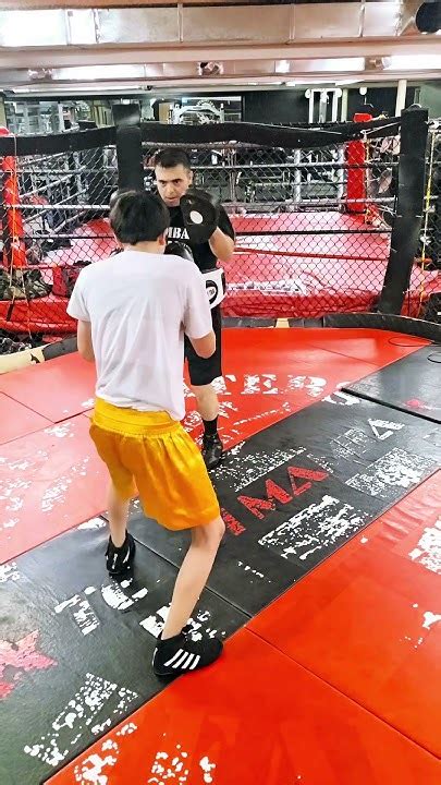 boxing peekaboo style attack and headmovement jab head jab cross