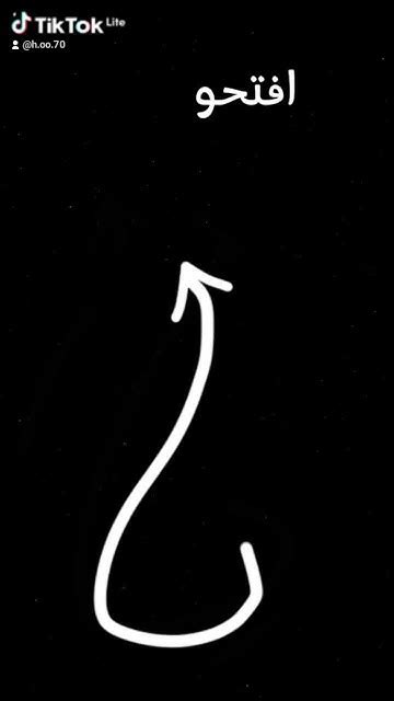 في منزل انثى السنجاب Youtube