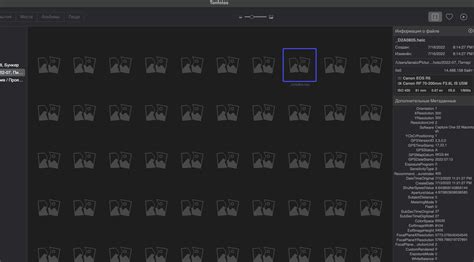 Работа с Heic файлами Форум пользователей Tonfotos