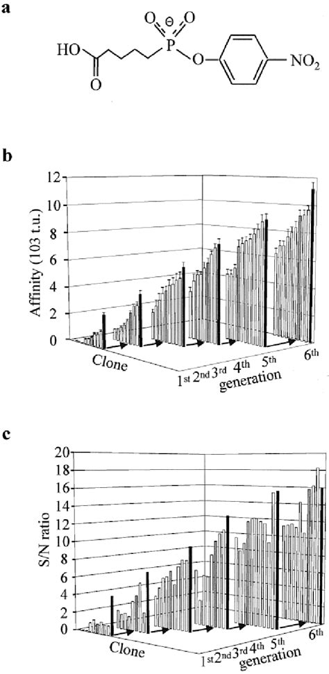 Binding Affinity And Specificity Of Each Clone In The Small Phage