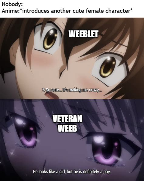 Anime Reaction Memes