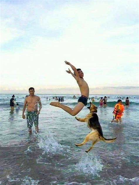 39 Hilarious Beach Photos Gone Wrong Cursed Beach Images Funny