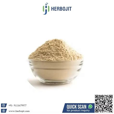 Curry Leaf Extract Packaging Type Hdpe Drum Packaging Size 20 Kg At ₹ 575 Kg In Indore