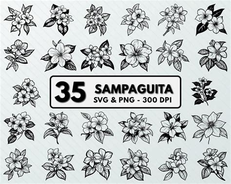 Sampaguita Flower Svg Bundle Silhouette Cut File Png Clipart Etsy