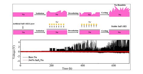 Fluorinated Artificial Solidelectrolyteinterphase Layer For Long Life