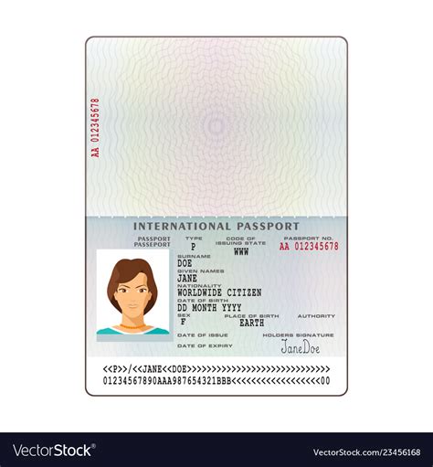 International Passport Template With Sample Vector Image